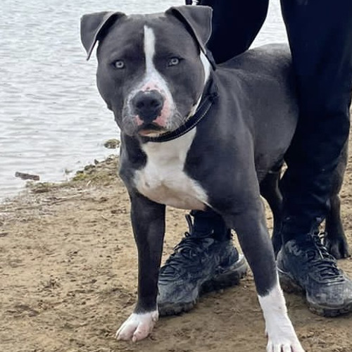 Stream Kj_104 music | Listen to songs, albums, playlists for free on ...