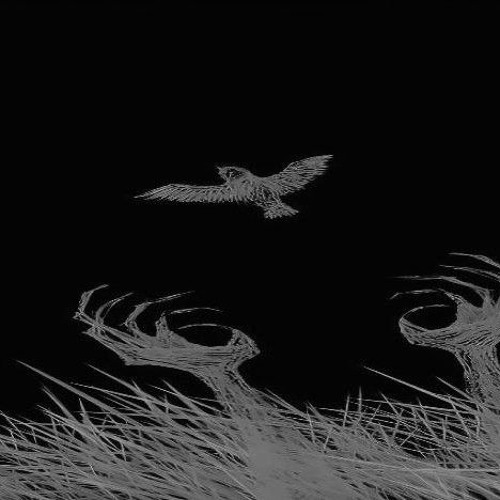 Stream Toleron music | Listen to songs, albums, playlists for free on ...