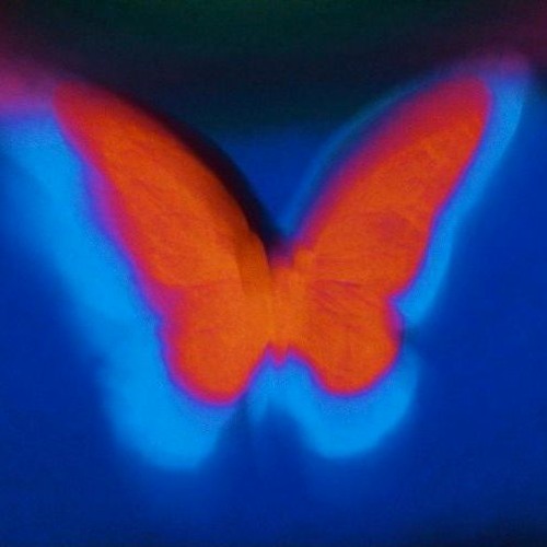 Stream maple music | Listen to songs, albums, playlists for free on ...