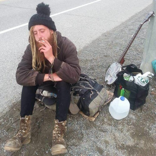 Stream Nick DeMott | Listen to Fuck your title playlist online for free ...