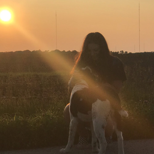 Stream abigail anne music | Listen to songs, albums, playlists for free ...