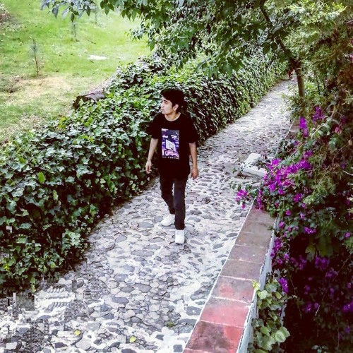 Stream Dônovan Flores music | Listen to songs, albums, playlists for ...