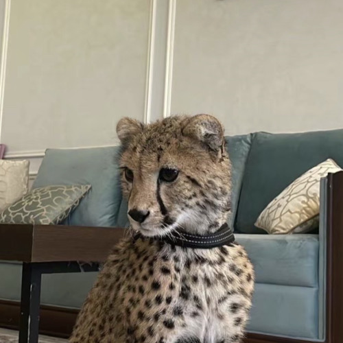 Stream BU7 music | Listen to songs, albums, playlists for free on ...