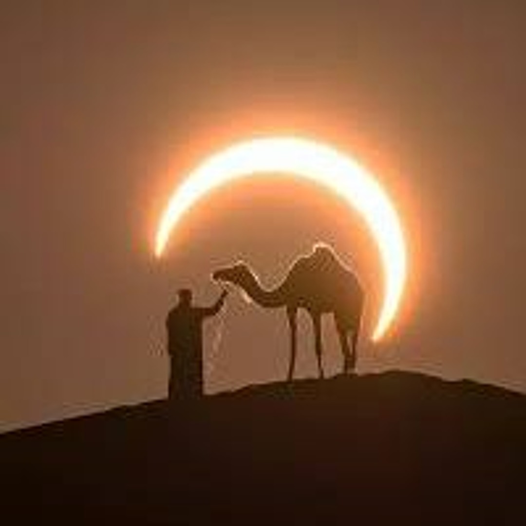 Stream Spy Camera Nanny Cams And Spy Cams by rsmdpv2755 | Listen online ...