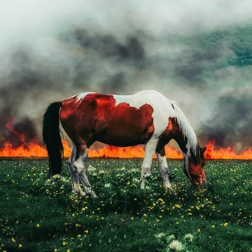 Stream Dallas Perry music | Listen to songs, albums, playlists for free ...