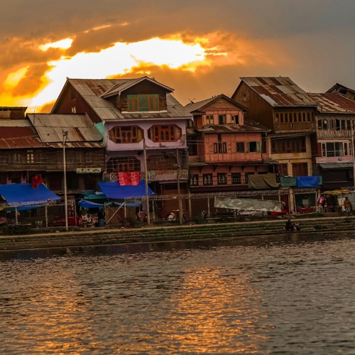 Stream Olive Tree music | Listen to songs, albums, playlists for free ...