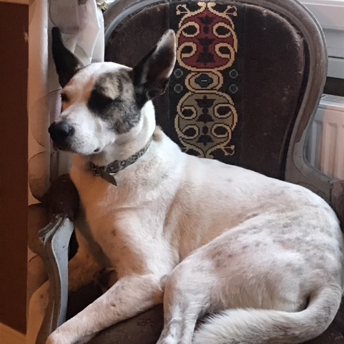 Stream MrcLucas music | Listen to songs, albums, playlists for free on ...