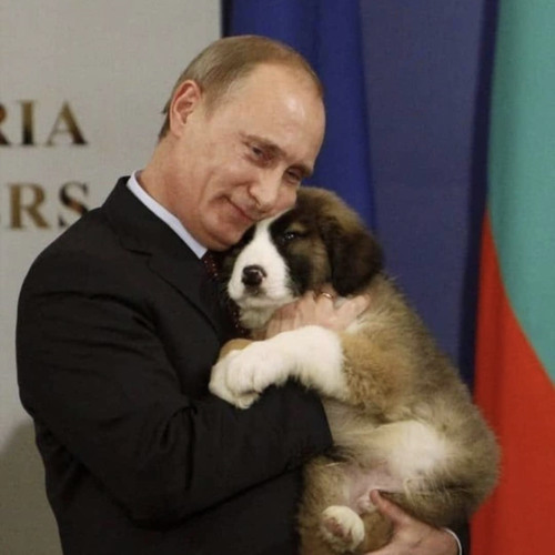 Stream Jacques Kriel music | Listen to songs, albums, playlists for ...