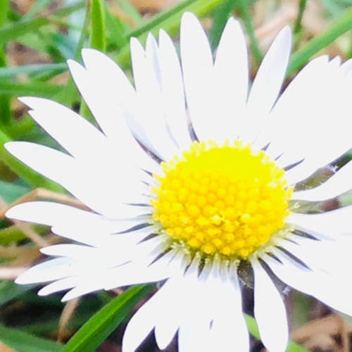 Stream You Raise Me Up - Piano Final by Emily Blackledge | Listen ...