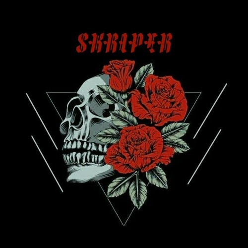 Stream Skriper! music | Listen to songs, albums, playlists for free on ...