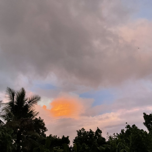 Stream Mack David music | Listen to songs, albums, playlists for free ...