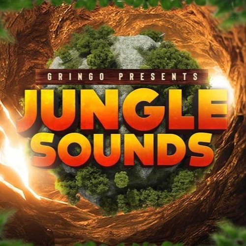 Stream Jungle Sounds music | Listen to songs, albums, playlists for ...