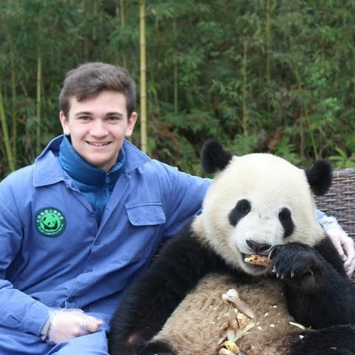 Stream Ronald Rosen music | Listen to songs, albums, playlists for free ...