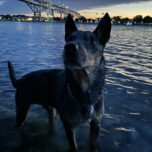 Stream Jacob Daley music | Listen to songs, albums, playlists for free ...