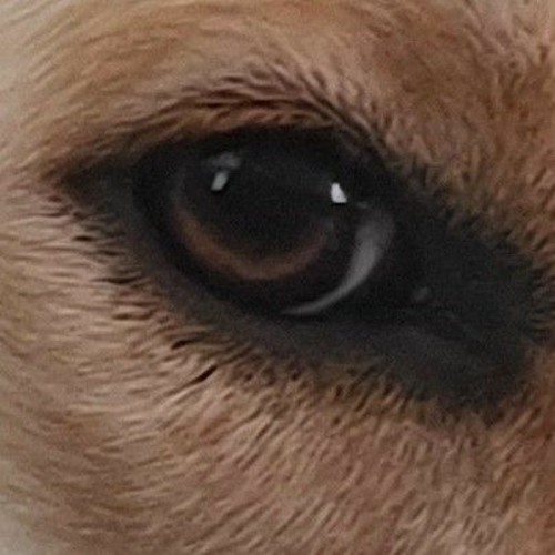 Stream Chris stape music | Listen to songs, albums, playlists for free ...