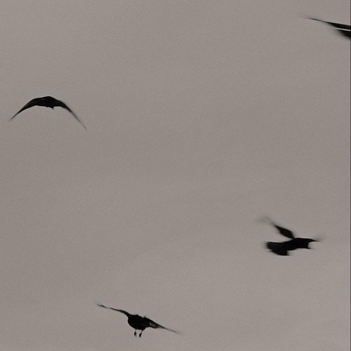 Stream user2222 music | Listen to songs, albums, playlists for free on ...