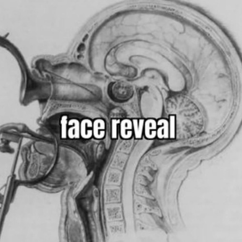 Stream siggaretten music | Listen to songs, albums, playlists for free ...