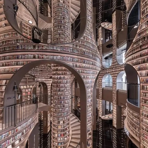 Stream WAX FOREST music | Listen to songs, albums, playlists for free ...