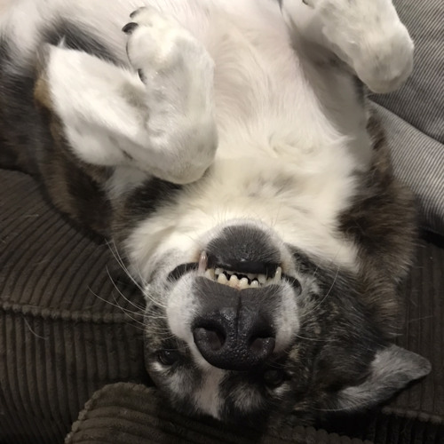 Stream Lila Nguyen music | Listen to songs, albums, playlists for free ...