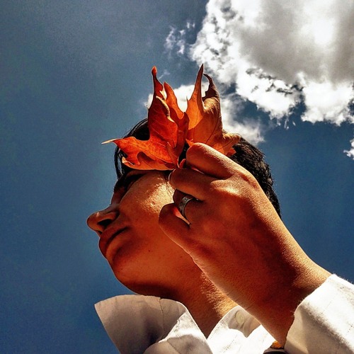 Stream Malihe M music | Listen to songs, albums, playlists for free on ...