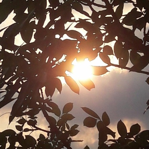 Stream Maraya music | Listen to songs, albums, playlists for free on ...
