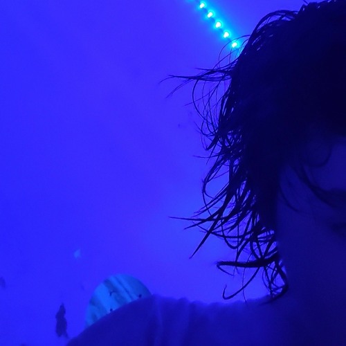 Stream Noah Troxell music | Listen to songs, albums, playlists for free ...