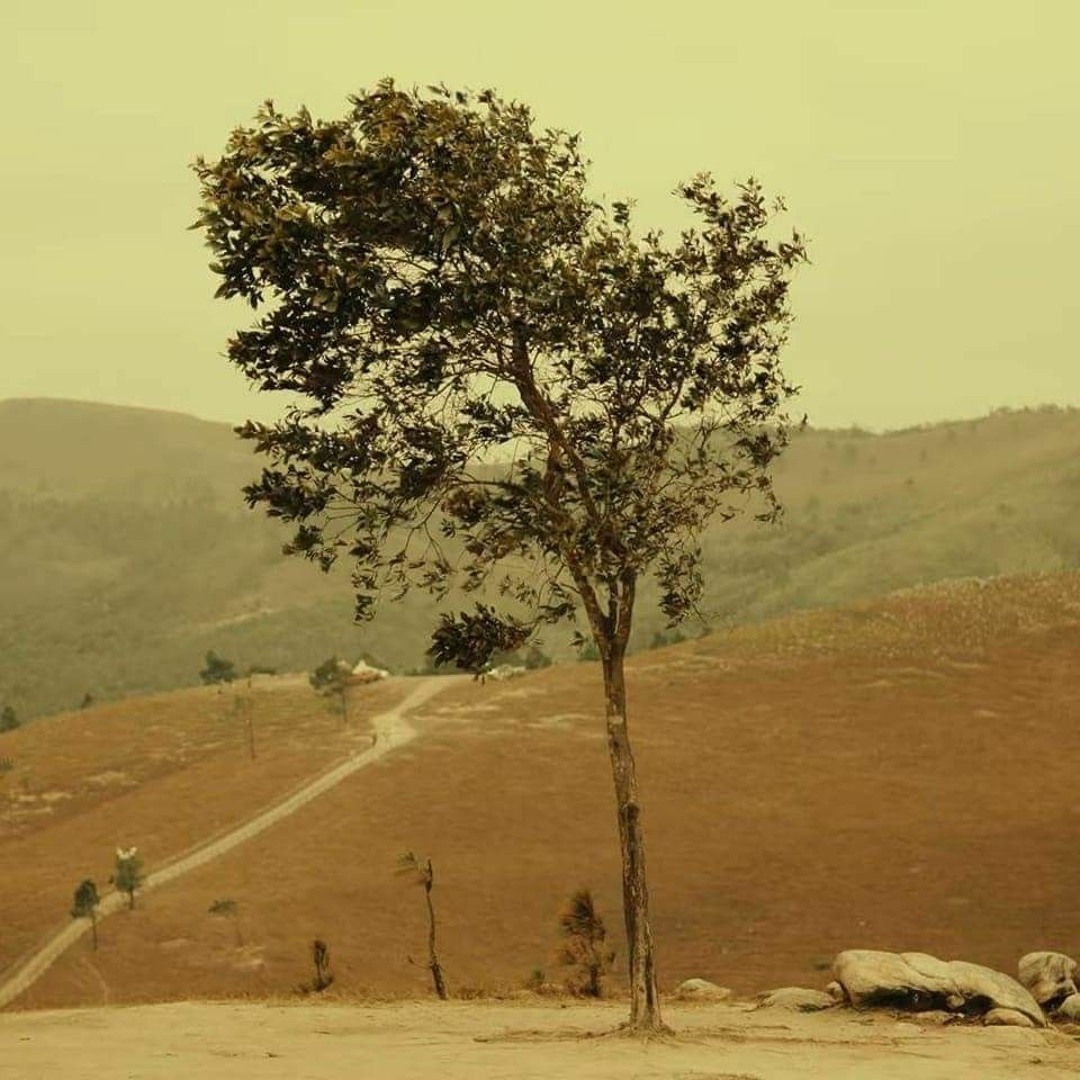 Stream Hidro NAtri music | Listen to songs, albums, playlists for free ...