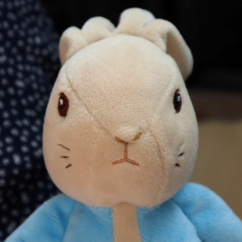 Stream Phoenix Fynn music | Listen to songs, albums, playlists for free ...