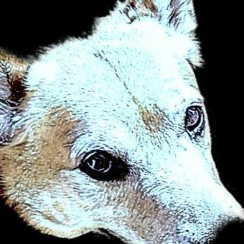 Stream Ron-Devu music | Listen to songs, albums, playlists for free on SoundCloud