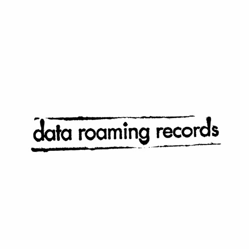 Stream Data Roaming Records music | Listen to songs, albums, playlists ...