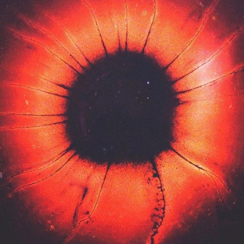 Stream HOLY_HOLY_HOLY music | Listen to songs, albums, playlists for ...