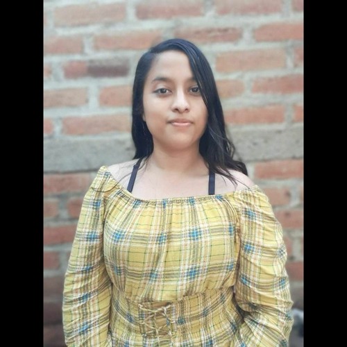 Stream NORMAS ISO (Lesly Nereyda Lemus Vasquez).mp3 by Lesly Nereyda ...