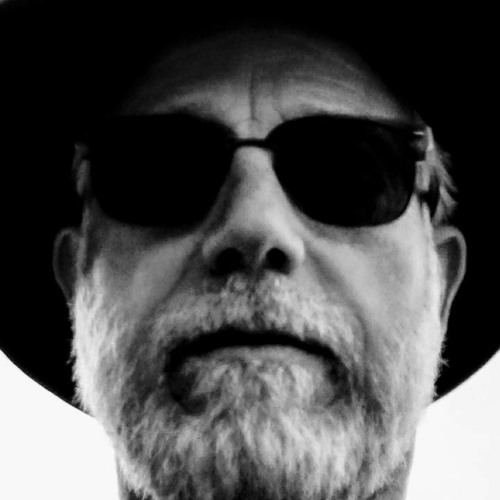 Stream Modern Day Fern Bar.WAV by Steve Wideen | Listen online for free ...