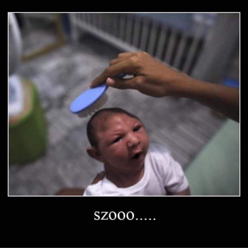 Stream hhhhhhhhhhhh music | Listen to songs, albums, playlists for free ...