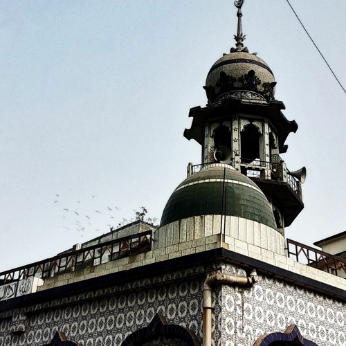 Stream Modest Nation music | Listen to songs, albums, playlists for ...