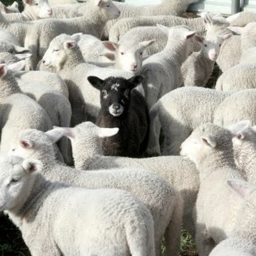 Stream Weak Sheep music | Listen to songs, albums, playlists for free ...