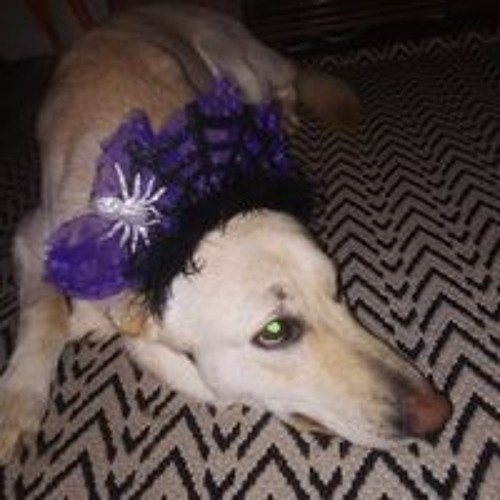 Stream Tof Tof Tof Selle music | Listen to songs, albums, playlists for free on SoundCloud