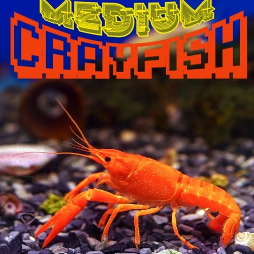Stream MEDIUM CRAYFISH music | Listen to songs, albums, playlists for ...