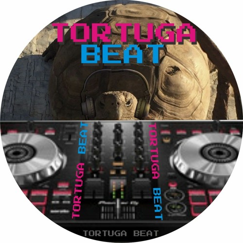 Stream tortuga beat music | Listen to songs, albums, playlists for free ...