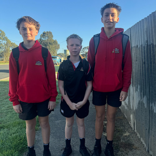 Stream Logan Elphick music | Listen to songs, albums, playlists for ...