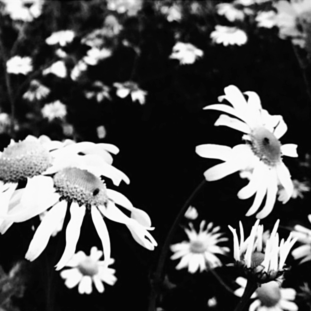 Stream Box Number Eleven music | Listen to songs, albums, playlists for ...