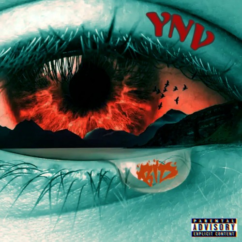 Stream YNV music | Listen to songs, albums, playlists for free on ...