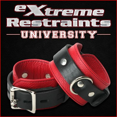 Stream 102 Butt Plugs And Booty Sparks With Kira Noir By Xr University Listen Online For Free 