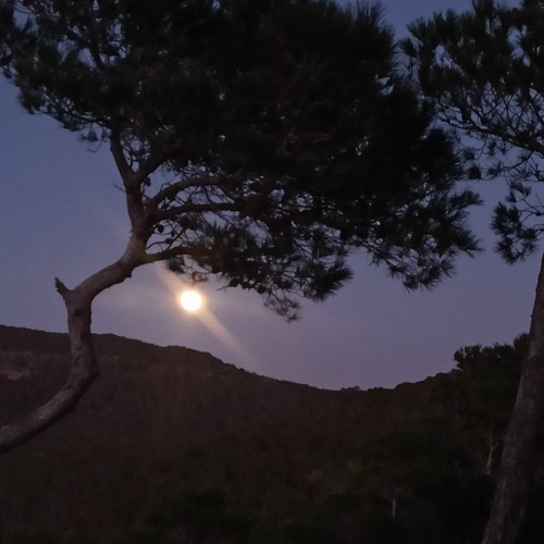 Stream mmmar music | Listen to songs, albums, playlists for free on ...