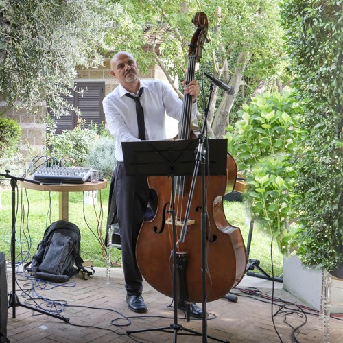 Stream Francesco Cartocci music | Listen to songs, albums, playlists ...