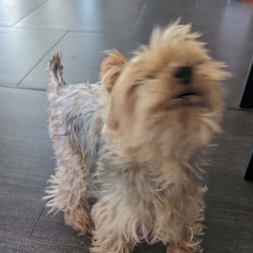 Stream dizzy.key music | Listen to songs, albums, playlists for free on ...