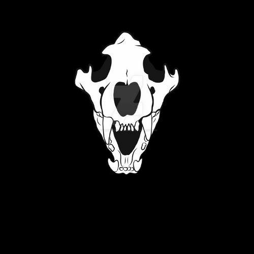 Stream Safwen music | Listen to songs, albums, playlists for free on ...