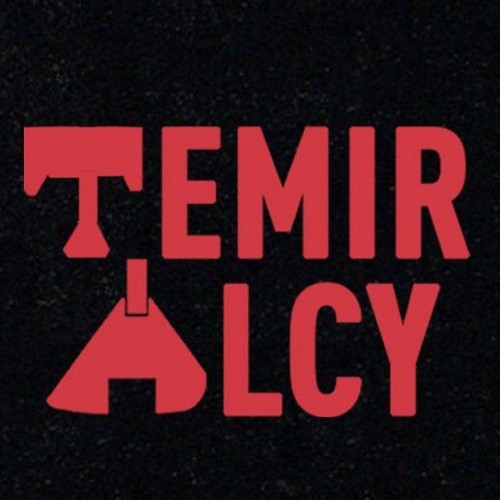 Stream Temir Alcy music | Listen to songs, albums, playlists for free ...