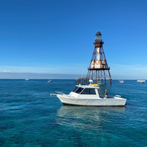 Stream Raymond Fort music | Listen to songs, albums, playlists for free ...