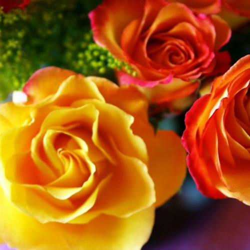 Stream Phoebe Pan music | Listen to songs, albums, playlists for free ...